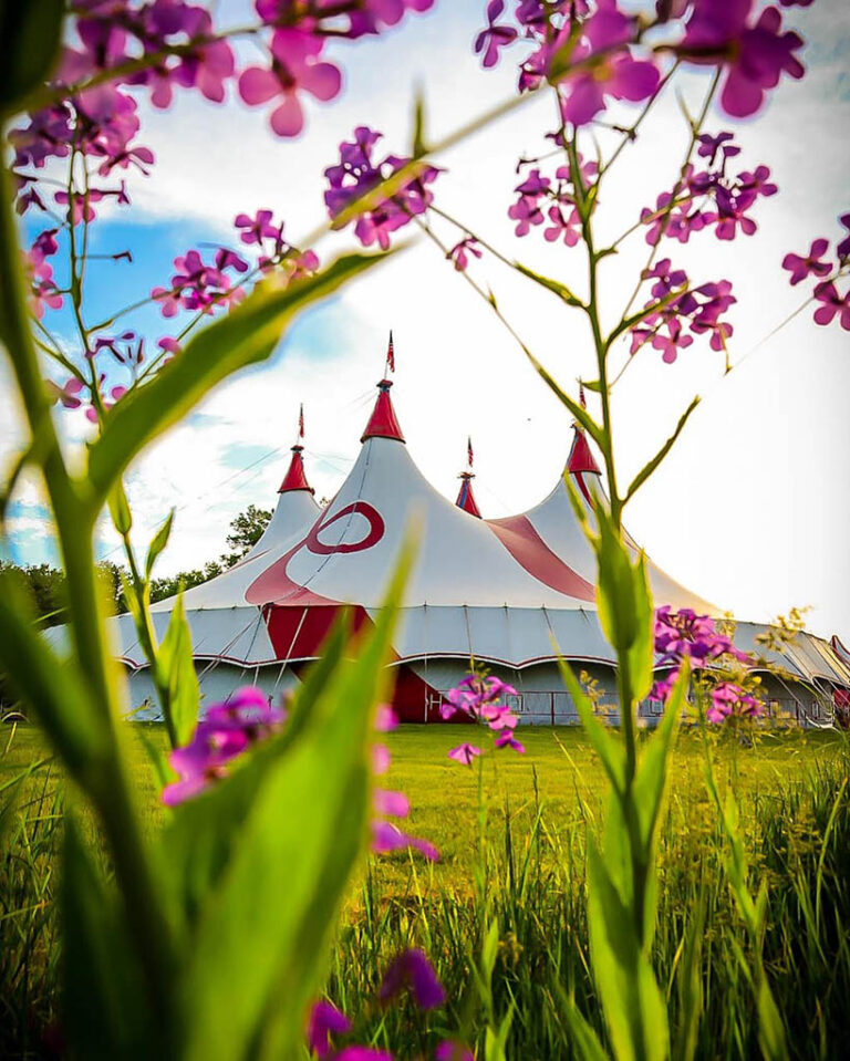 Explore - Circus World