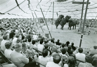 History of Circus World - Circus World