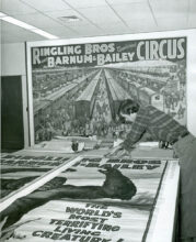 History of Circus World - Circus World