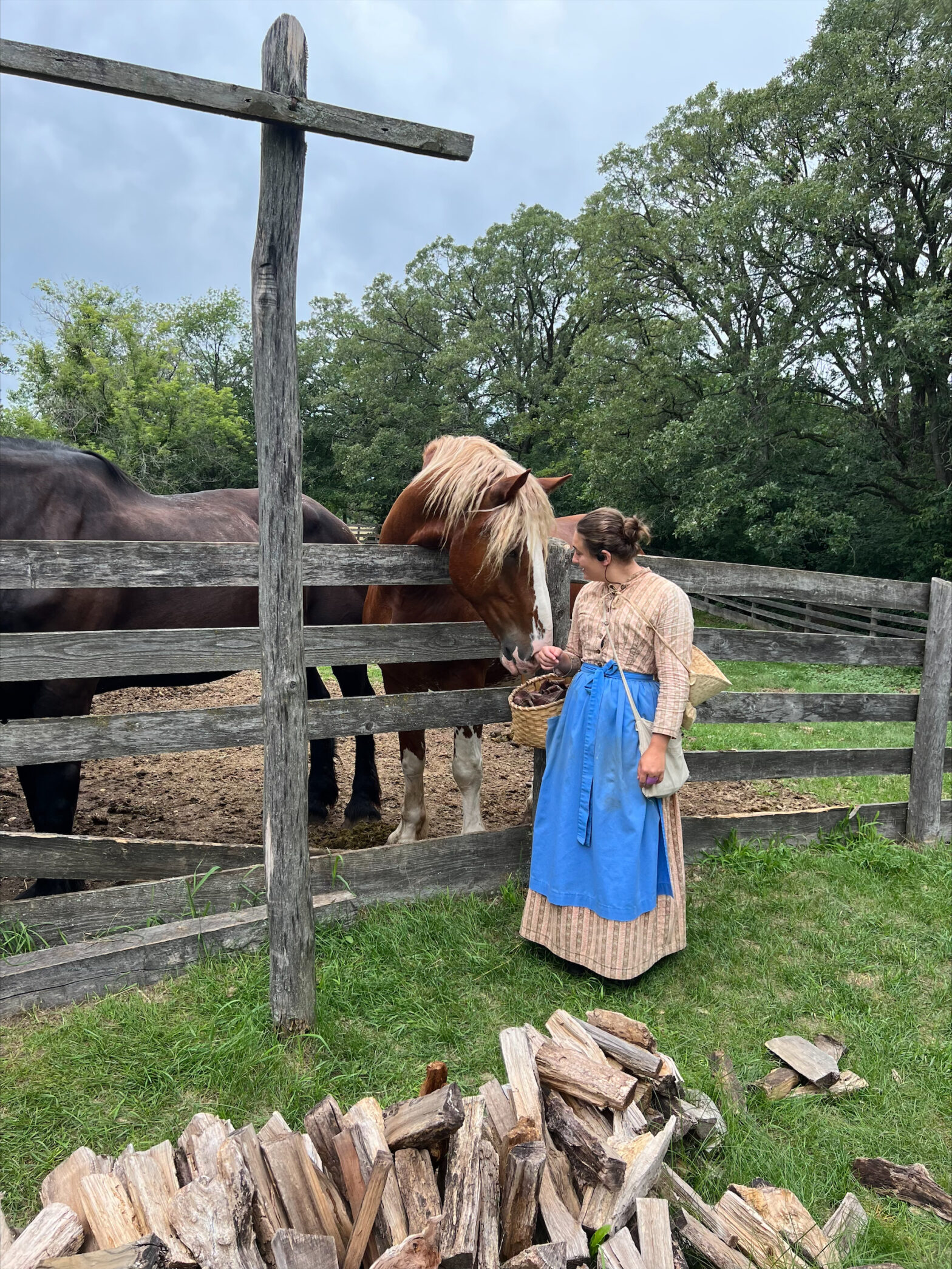 Animal Encounters - Old World Wisconsin